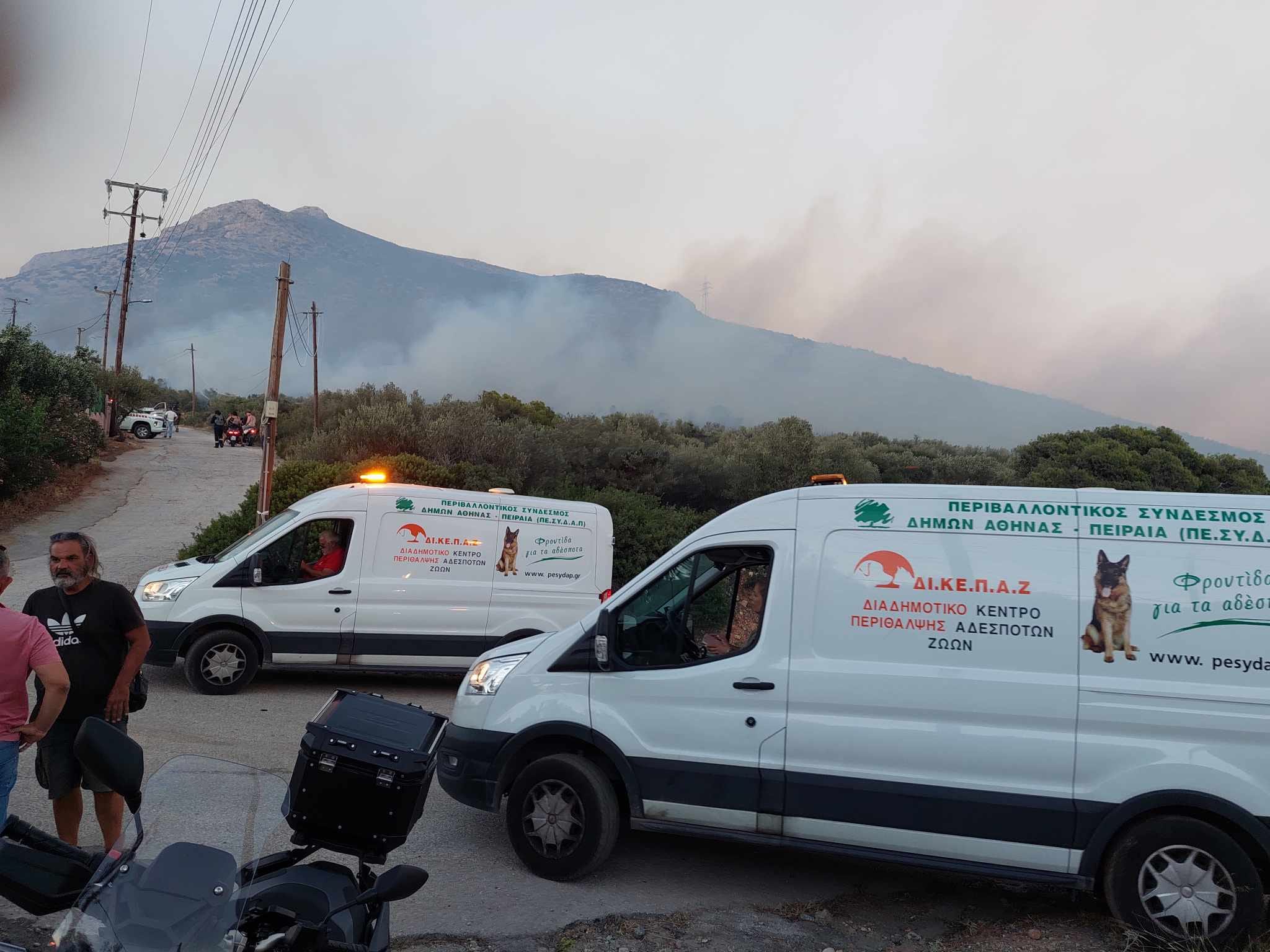 Γρηγόρης Γουρδομιχάλης : Ευχαριστώ τους εργαζόμενους και τους εθελοντές ...